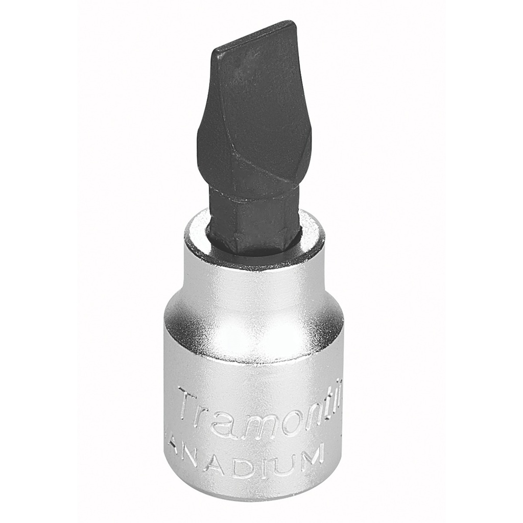 Size 10 Slotted Tip Chrome Vanadium Steel Socket - 3/8" Square Drive ...